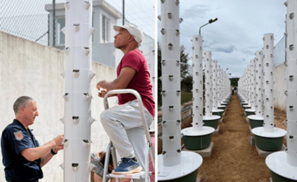 Portugal: Vertikalna farma s 40 tornjeva u zatvoru, usvajanje programa ...